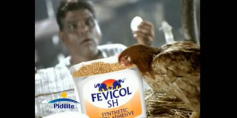 Fevicol's Everlasting Impact: Crafting Unforgettable Advertisements ...