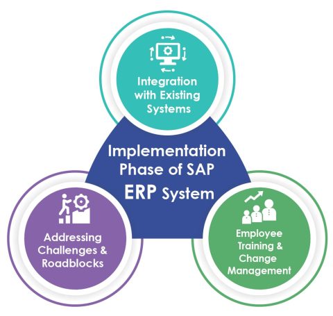 Walmart's Custom SAP ERP Solution for Operational Excellence: A Case Study