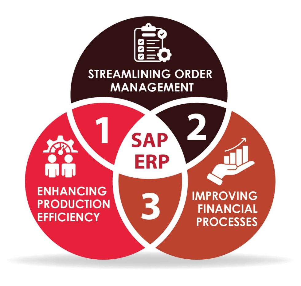Coca-Cola implementing SAP ERP: Success in Synchronizing Sips